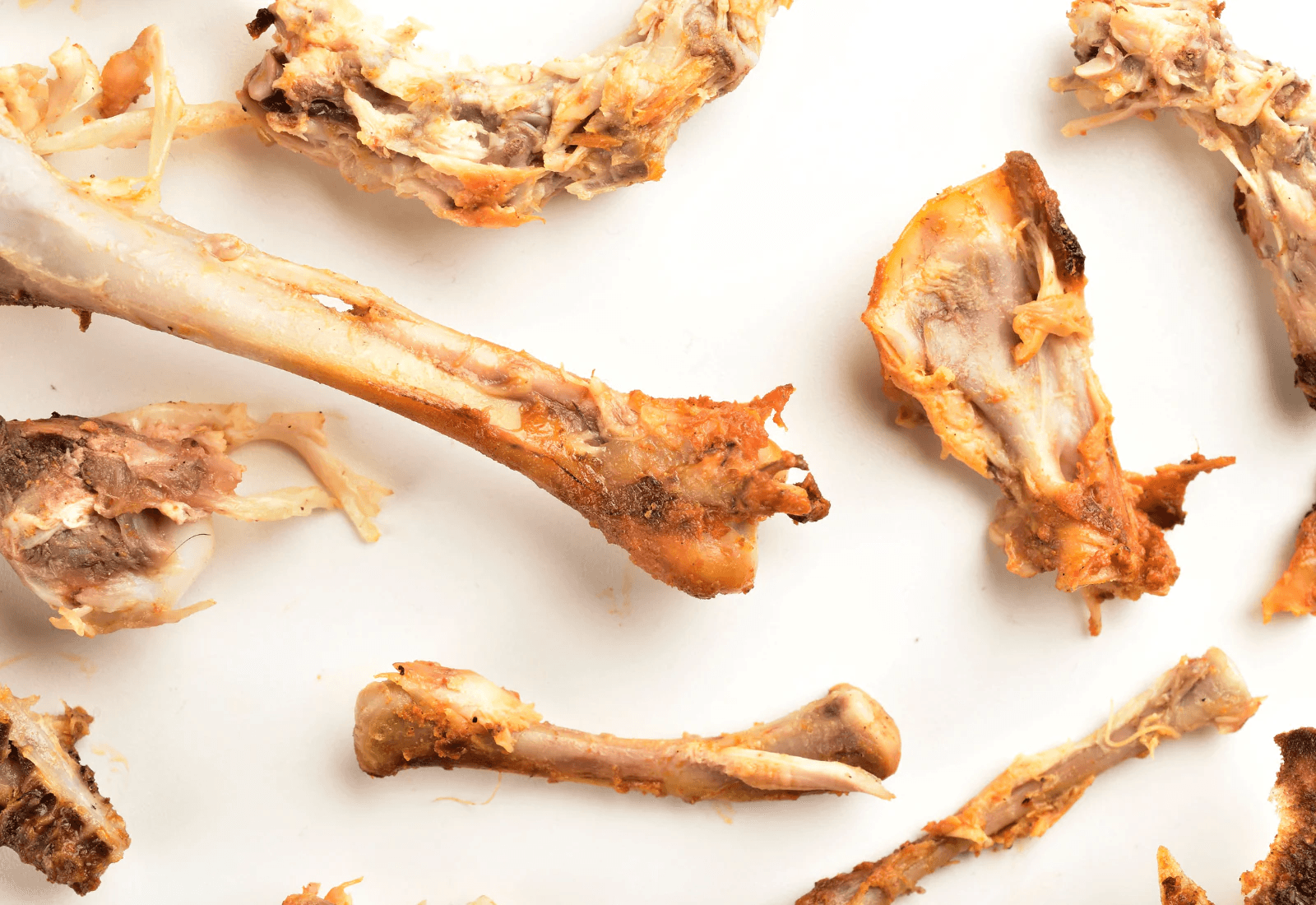 Chicken Bone With Love - The Reluctant Leader